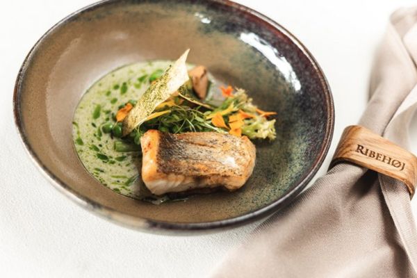 Ribehøj Biohotel: Gourmetophold fra kun 1.423 kr. p.p.