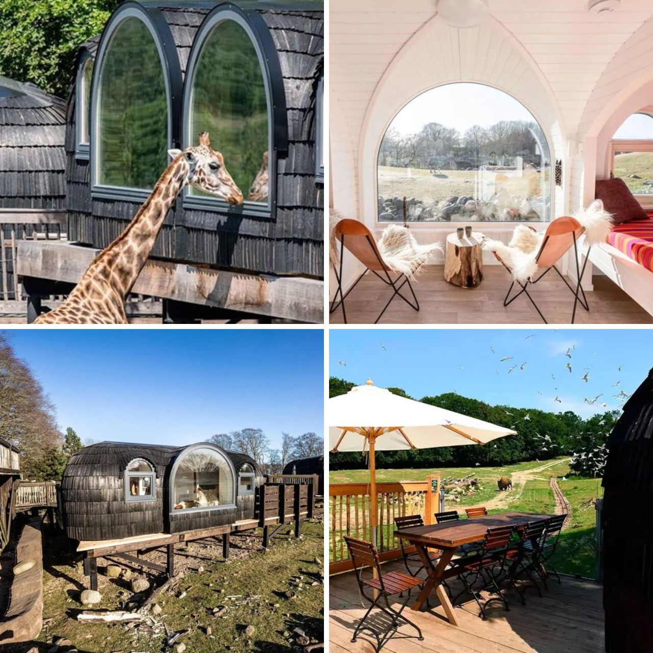 Ophold i Ree Park | Familietur for 4 personer | Book nu