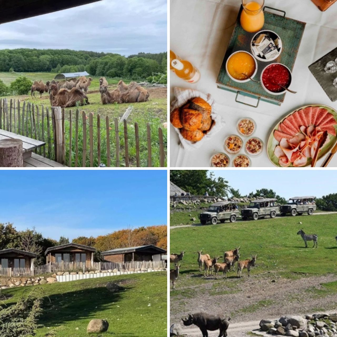 Ophold i Ree Park | Familietur for 4 personer | Book nu